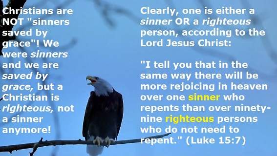 Sinner Saved By Grace | Is a Christian a Sinner | Christian